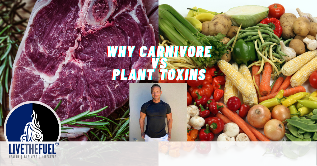 Why Carnivore vs Plant Toxins with Anthony Chaffee Part 2 - LIVETHEFUEL